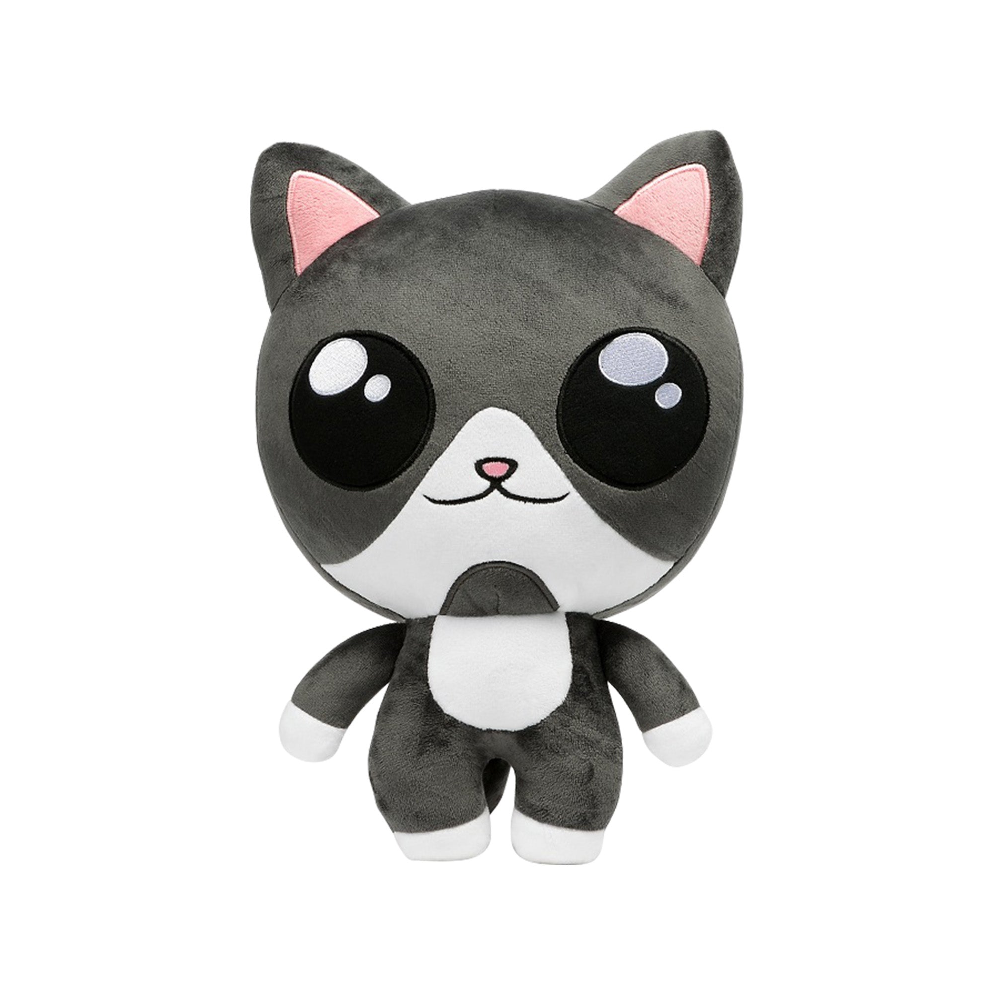 Maestro Media Merch and Add-ons